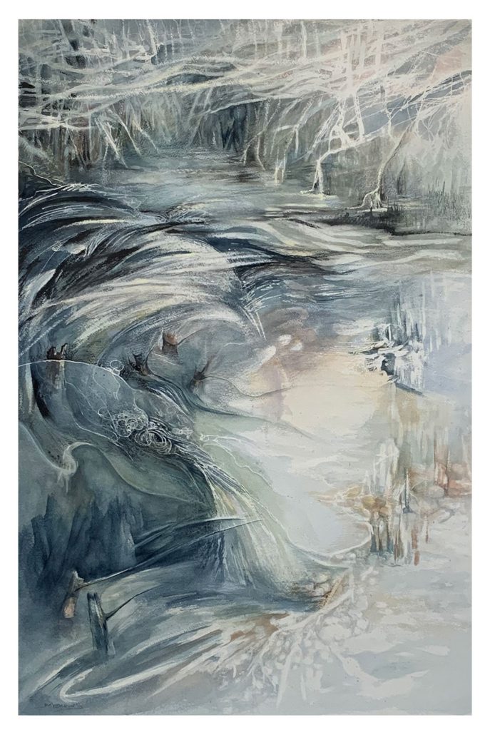 From Within the Littoral | An exhibition by Jennifer Andrews