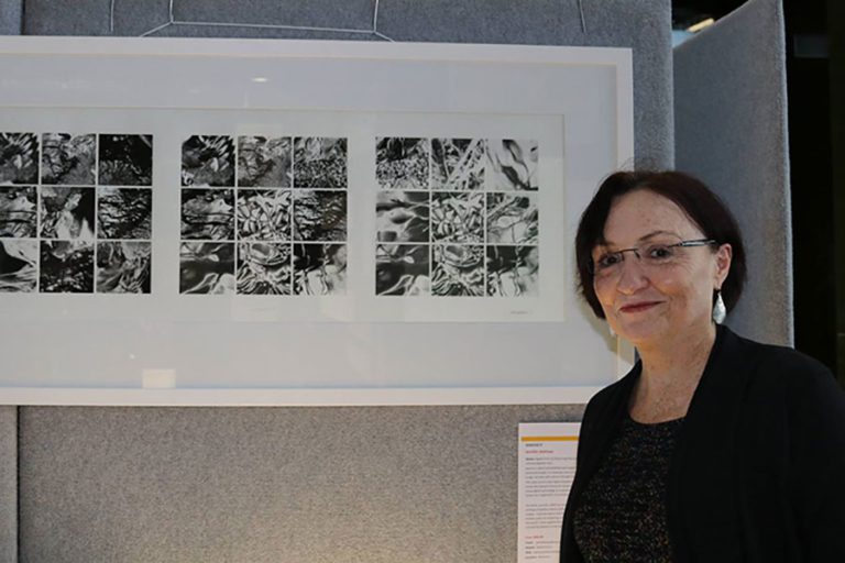 Exhibitions by Jennifer Andrews